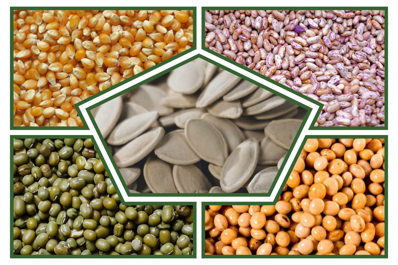 AgroNarmada – Promise of prosperity